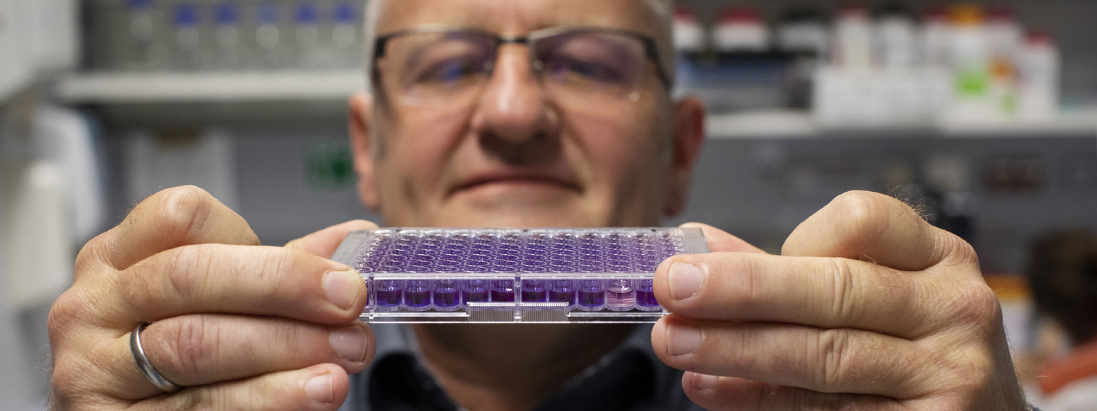 seedalive - rapid germination test for plant seeds